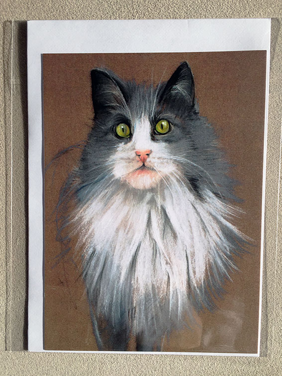 carte_chat_bleuBlanc_enveloppe – An'imato Jeux nomades kits créatifs coloriages lavables